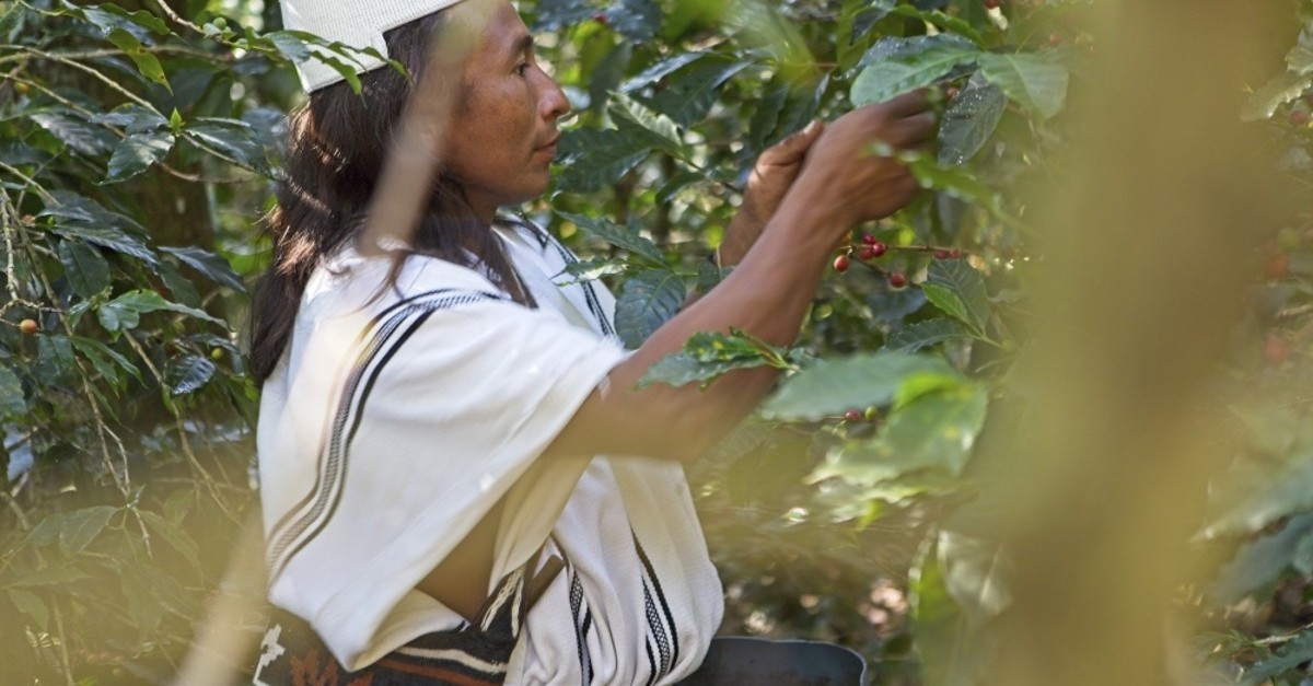 Výstava na stromech: Fairtrade funguje | Výlet na Říp